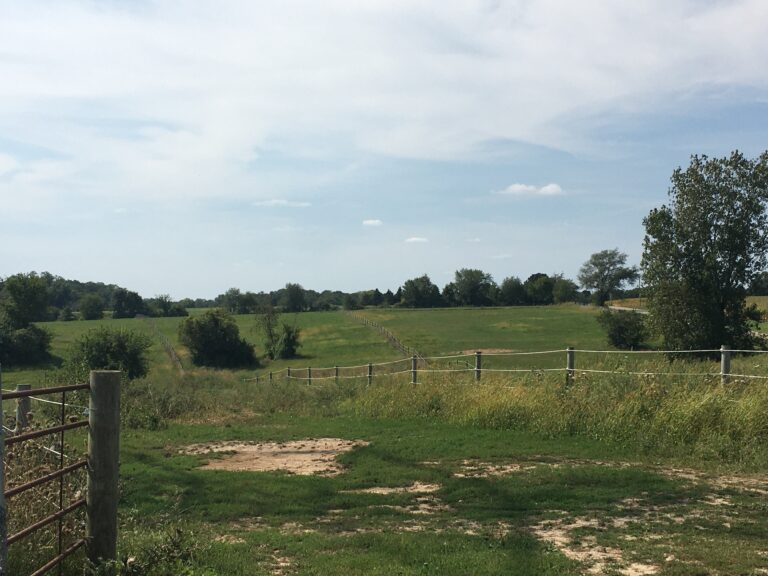 ***We’re currently open for new boarders. Contact us today to reserve ...